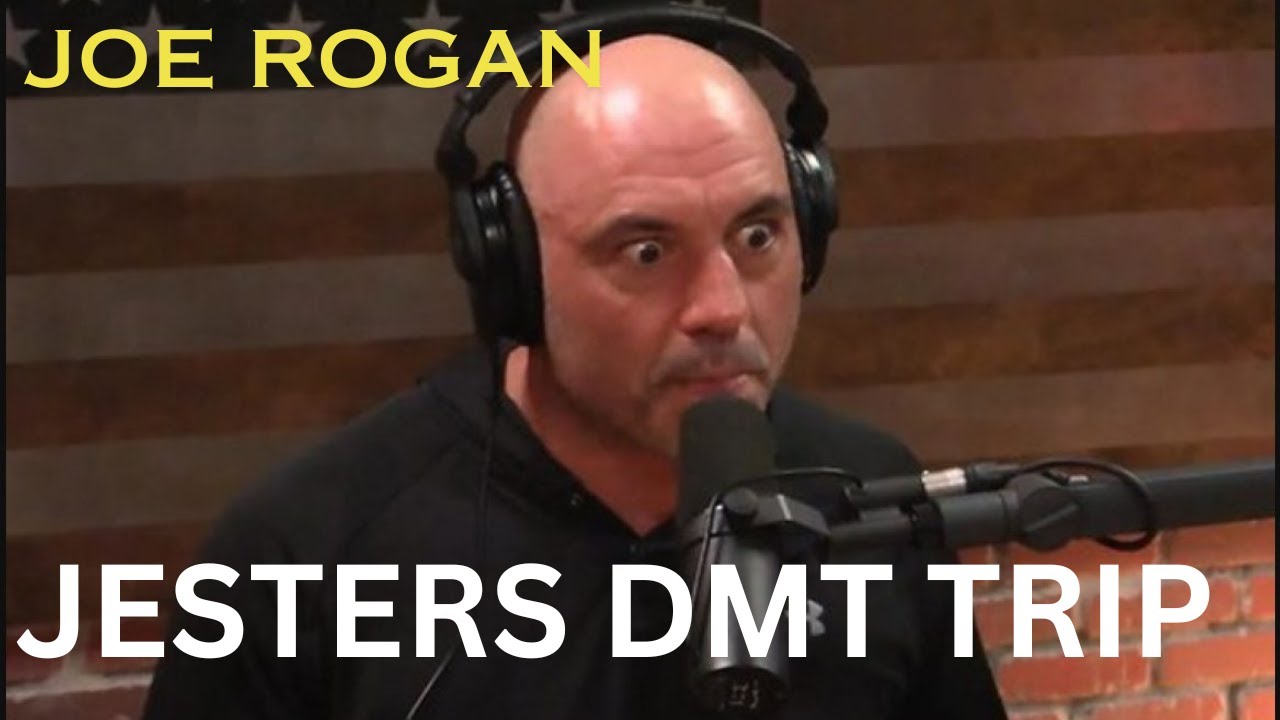 Joe Rogan seeing Clowns Jesters during DMT - YouTube