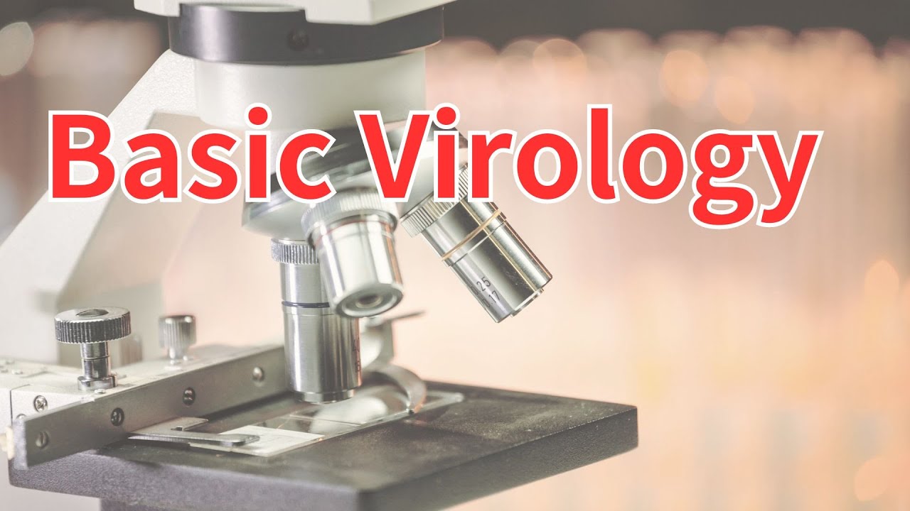 Basic Virology - YouTube