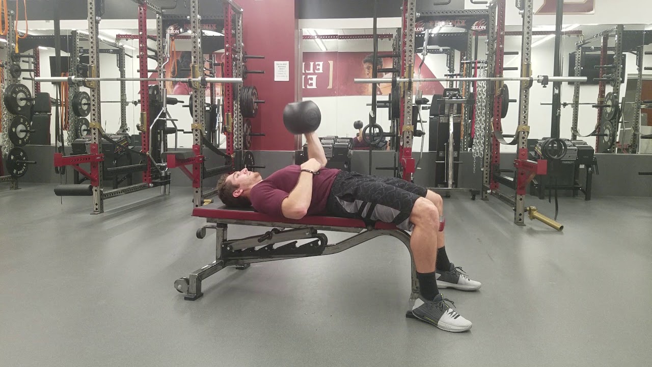 SA DB Bench Press - YouTube