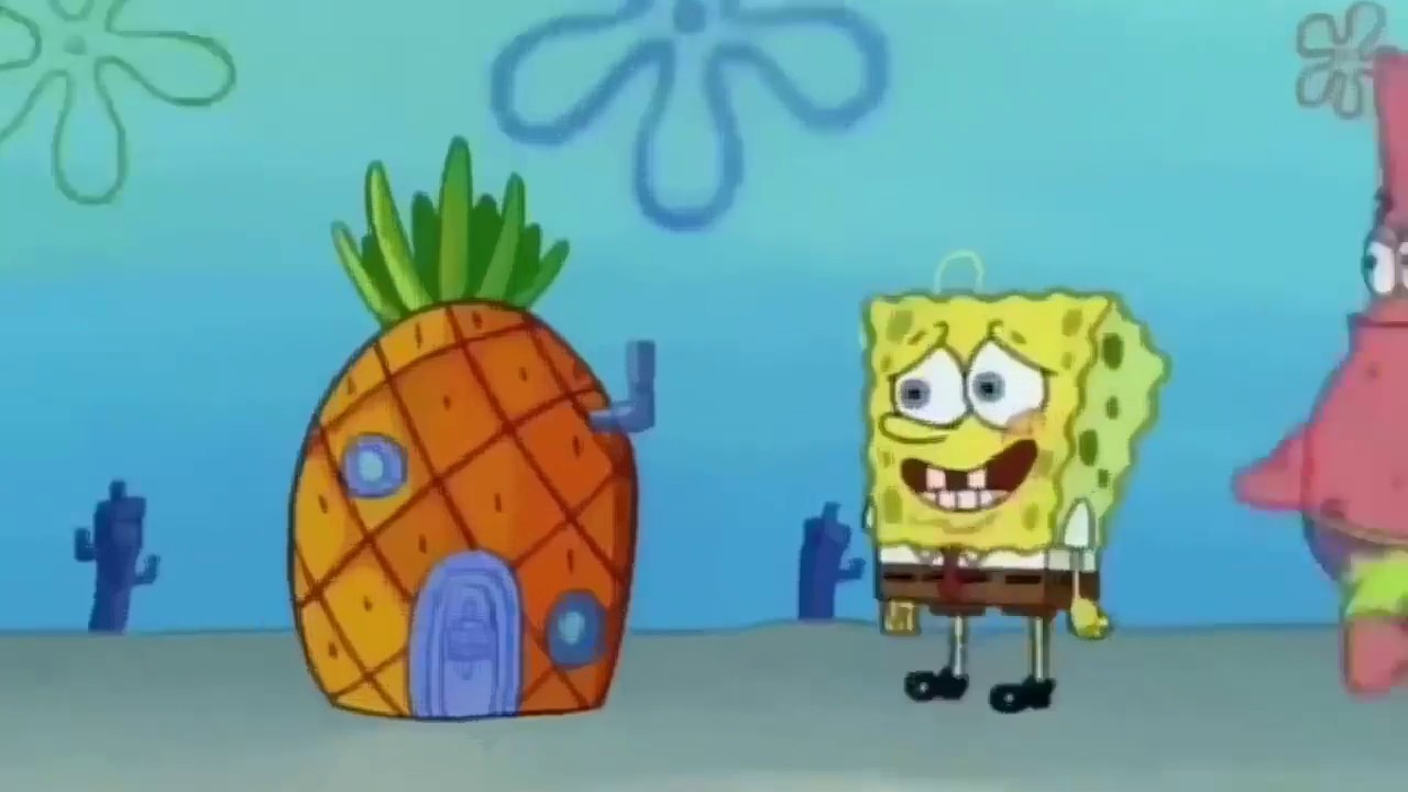 Spongebob roast - YouTube
