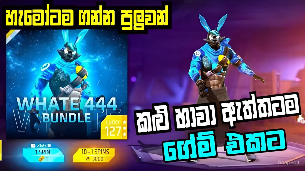 කළු හාවා බන්ඩල් එක හැමෝටම ගන්න පුලුවන් | black bunny bundle with white ...