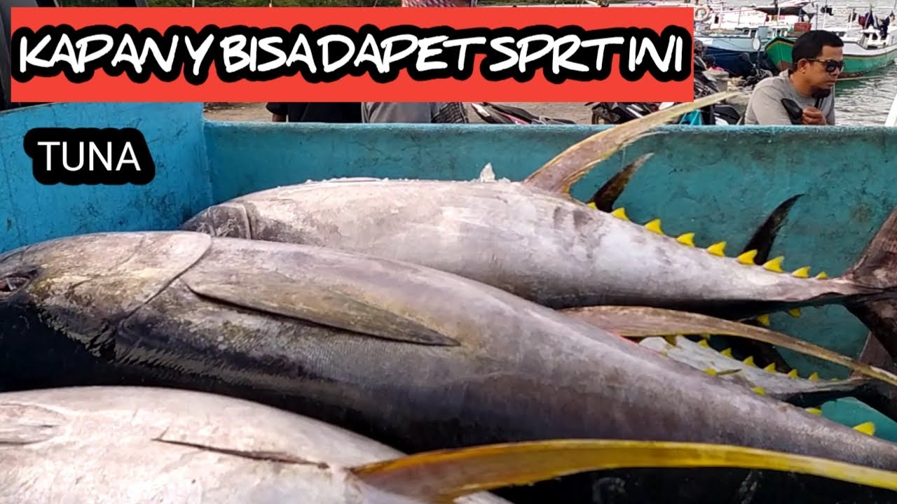 NELAYAN TUNA - YouTube