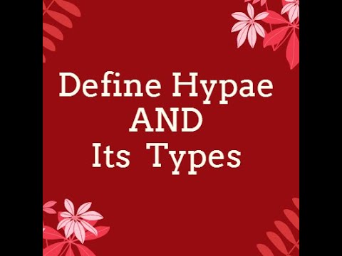 Define Hyphae and its Types. Sptate AND non Septate Hyphae - YouTube