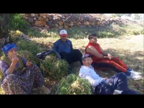 Hüseyin Arayıcı;Basak Mahallesi-''Yazı görmeden kışı yaşayanlar.''