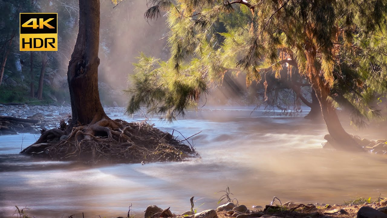 Autumn morning on the Turon River | 4K 60fps HDR binaural audio, no ...