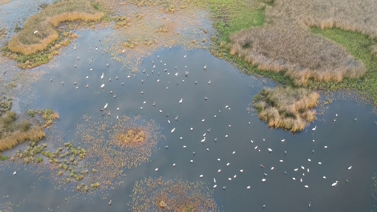 Fishing in Panacea Florida - YouTube