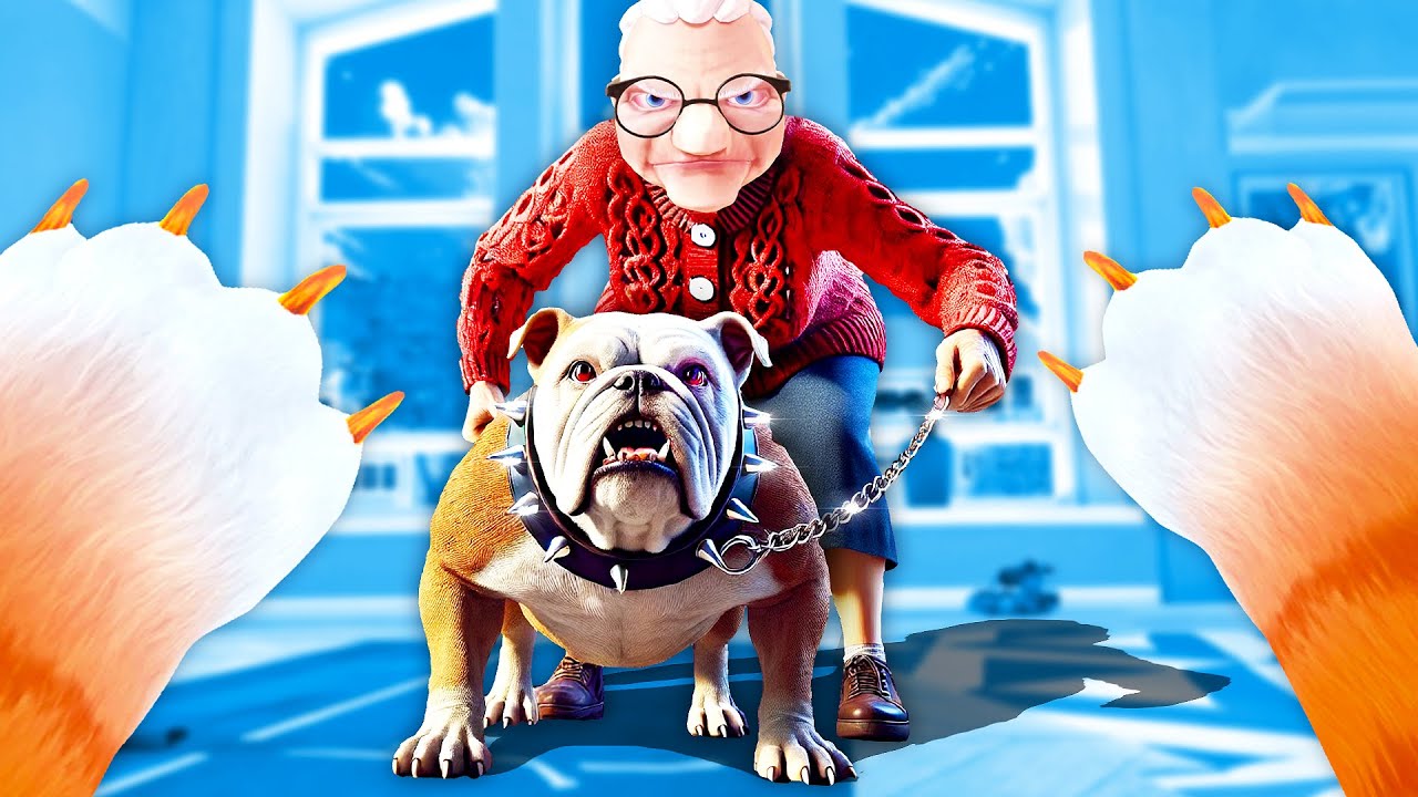 LOOKING For NEW DOG... (I Am Cat VR) - YouTube