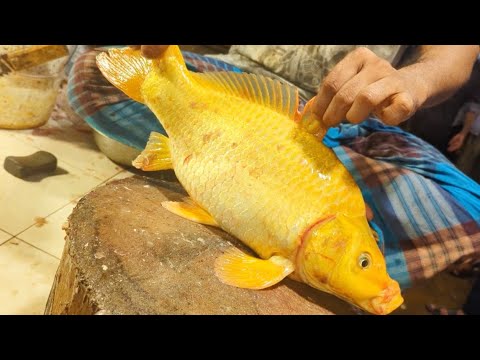 Amazing Big Golden Carp: Fish Cutting By Expart Fish Cutter | Fish ...