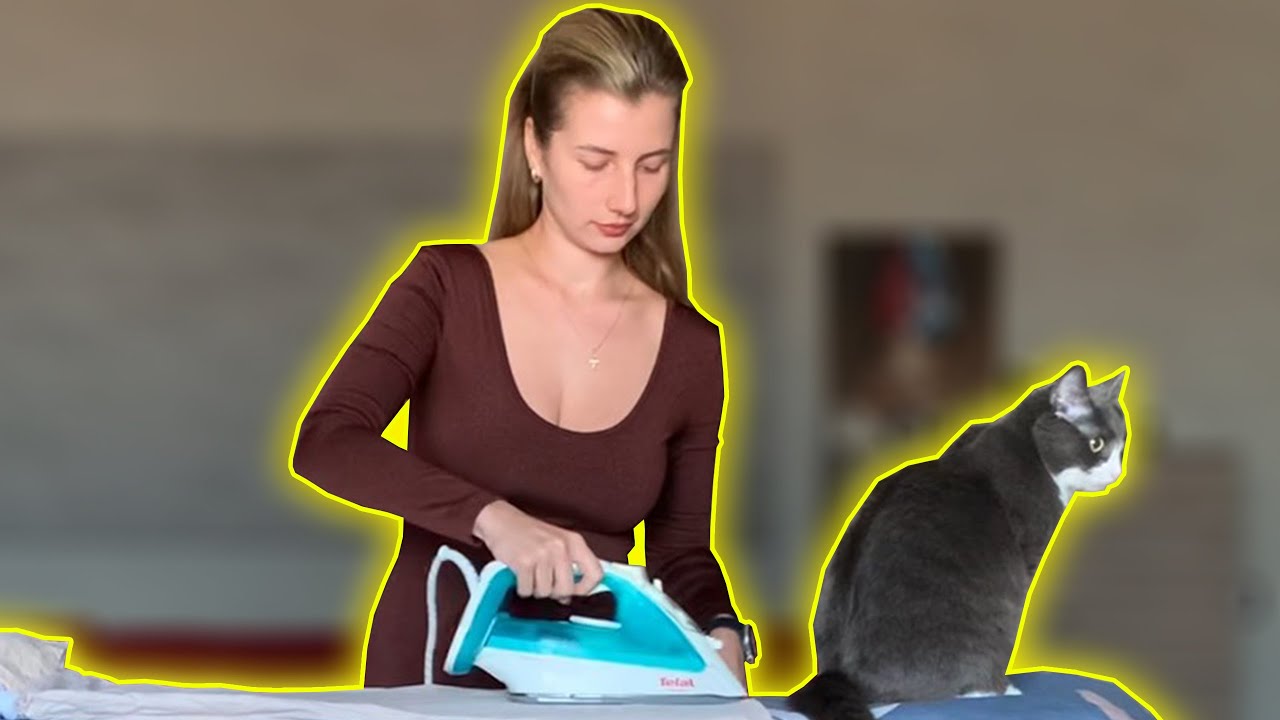 Usual chores: Ironing clothes with my cat! - YouTube