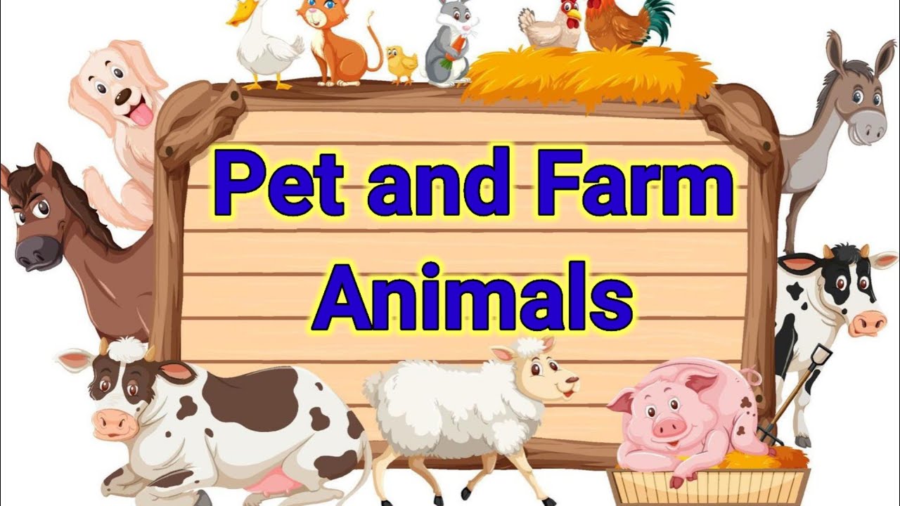 Pet Animals|farm animals| pet and farm animals | - YouTube