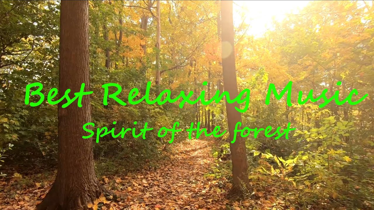 Best relaxing music. Spirit of the forest. Music for relaxing, chill ...