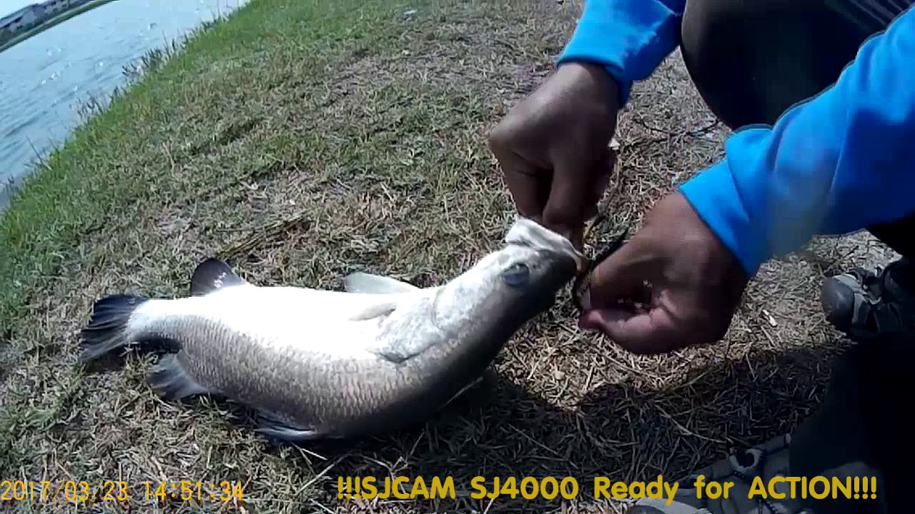 John@pilot111 Jigg Rig barramundi - YouTube