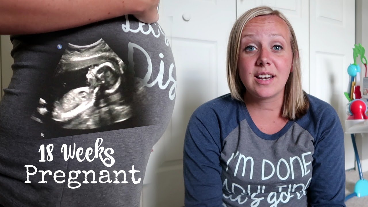 18 Weeks Pregnant Anatomy Scan Ultrasound And Update YouTube 18-weeks-pregnant-anatomy-scan-ultrasound-and-update-youtube