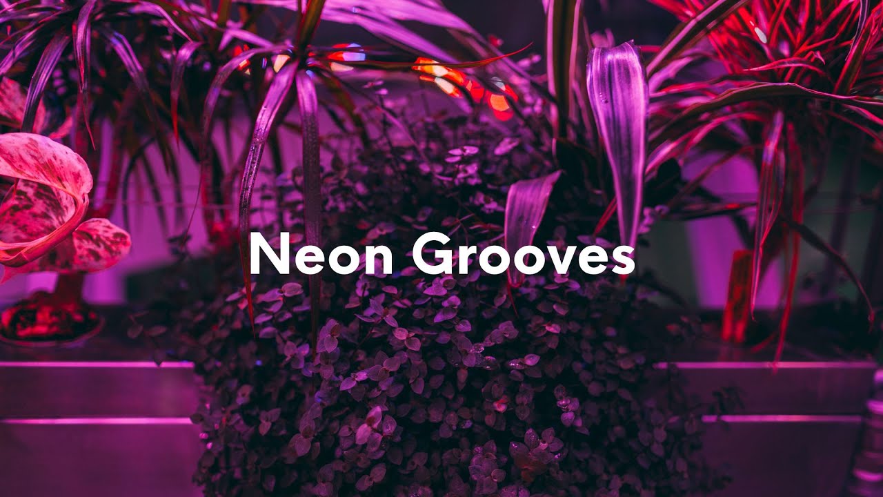 Neon Grooves: Electric RnB House Vibes - YouTube