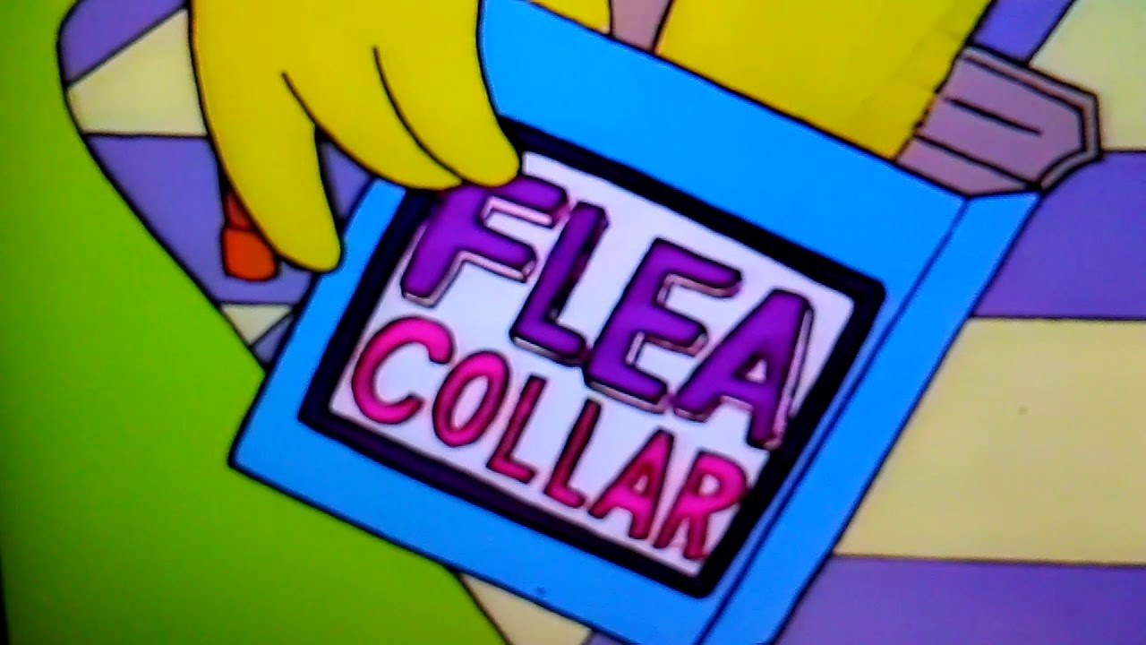 The Simpsons-Lisa's Flea Collar - YouTube