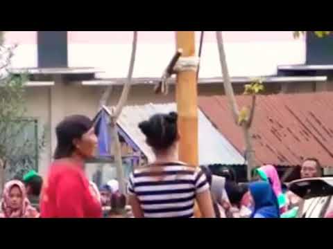 PANJAT PINANG BIKIN GAGAL FOKUS