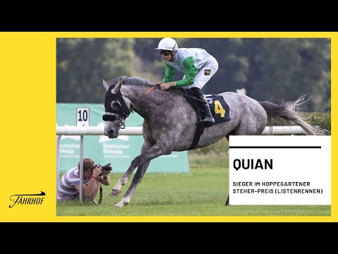 Berlin-Hoppegarten: Der Fährhofer QUIAN leichter Sieger im Hoppegartener Steher-Preis (Listenrennen)