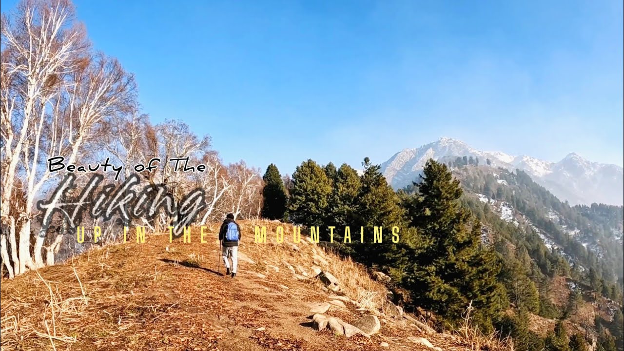 The Beauty of Hiking up in The Mountains | RAW NATURE | Trails ...