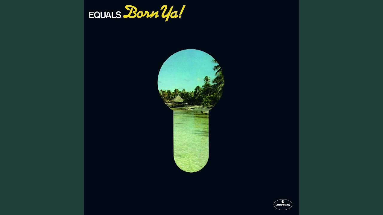 Stone Cold Cat - YouTube