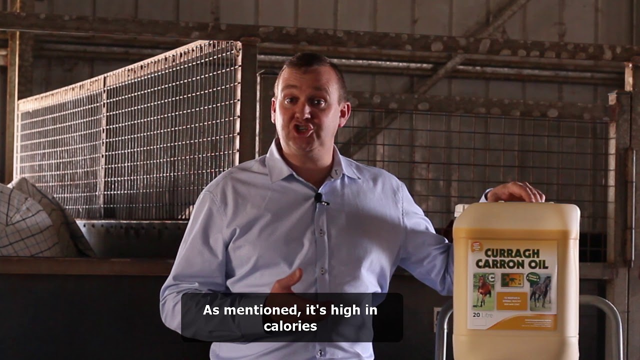Curragh Carron Oil - Linseed feeding oil - YouTube