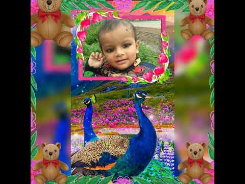Baby dol amagawa