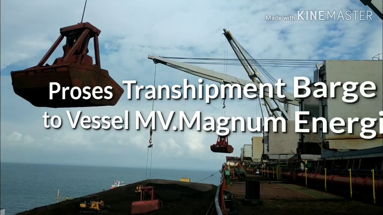 PROSES TRANSHIPMENT BARGE TO VESSEL MV MAGNUM ENERGY #Muaraberau # ...