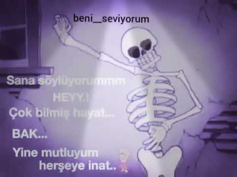 komik videolar