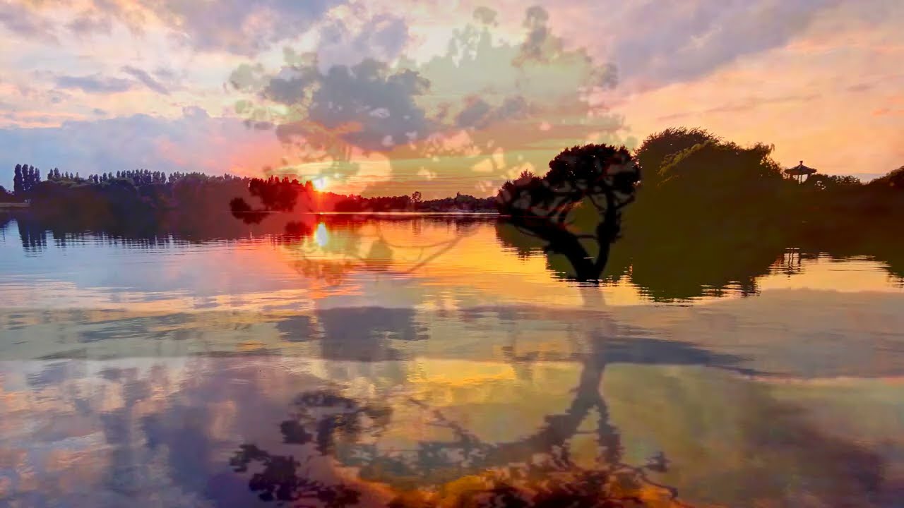Beautiful Water Shadow Trees, Shadow (HD1080p) - YouTube