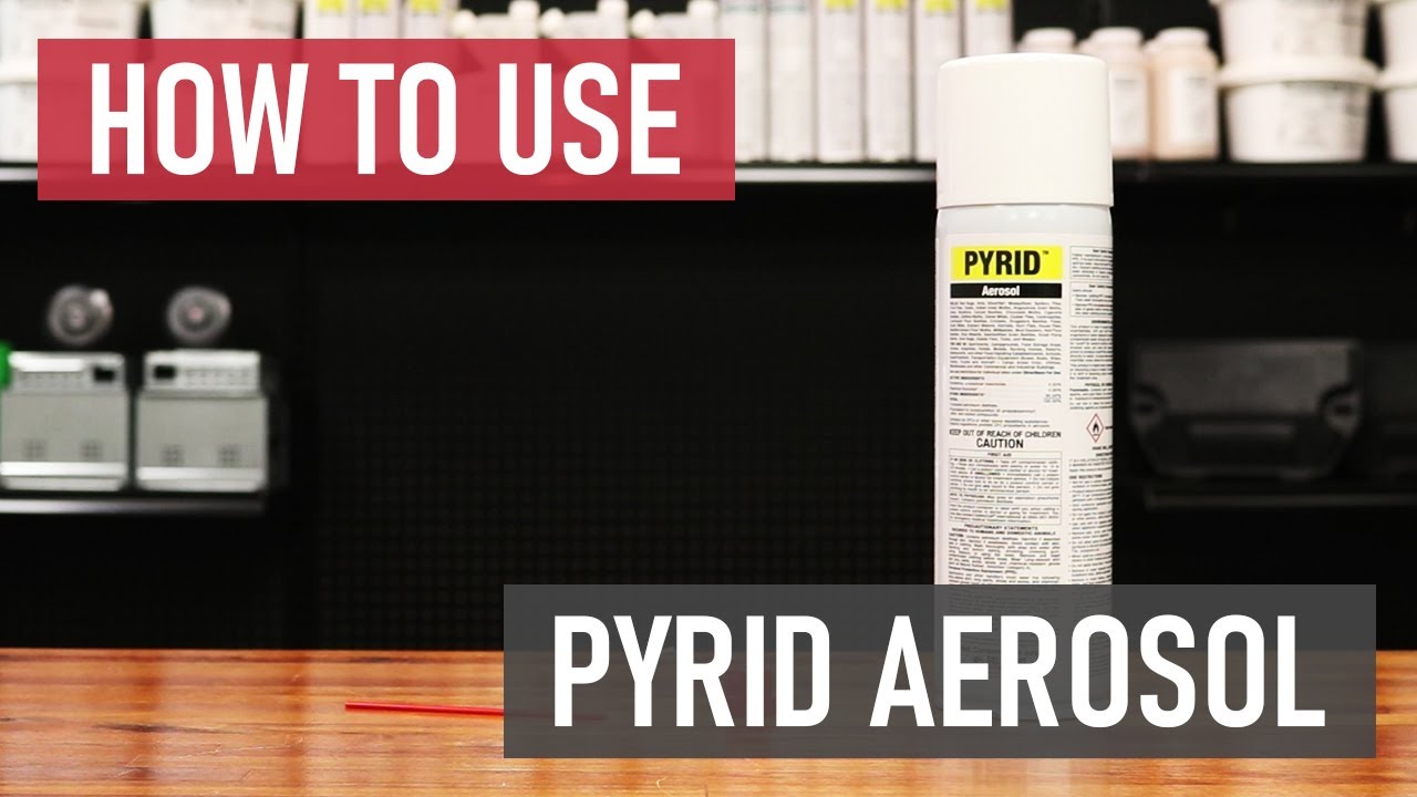 How to Use Pyrid Aerosol Insecticide - YouTube