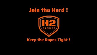 H2 Triad Bridge First Look | Doovi