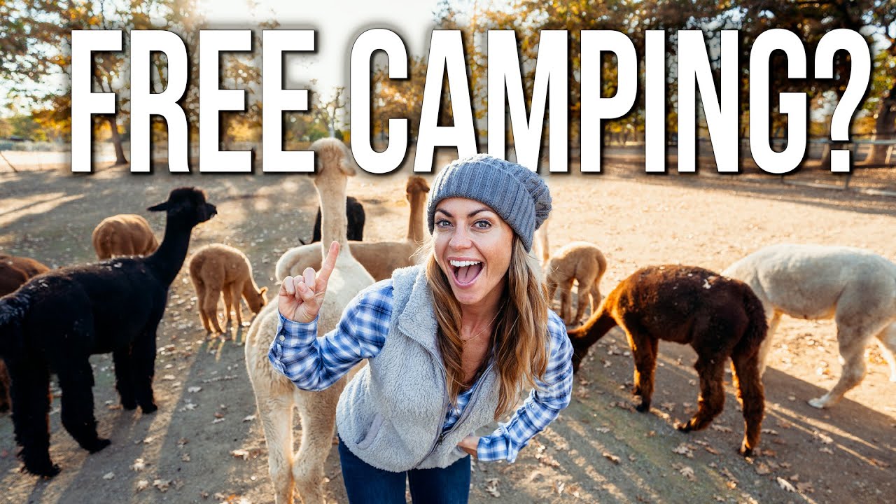 CAMPING FOR FREE WITH ALPACAS - Oregon! - YouTube