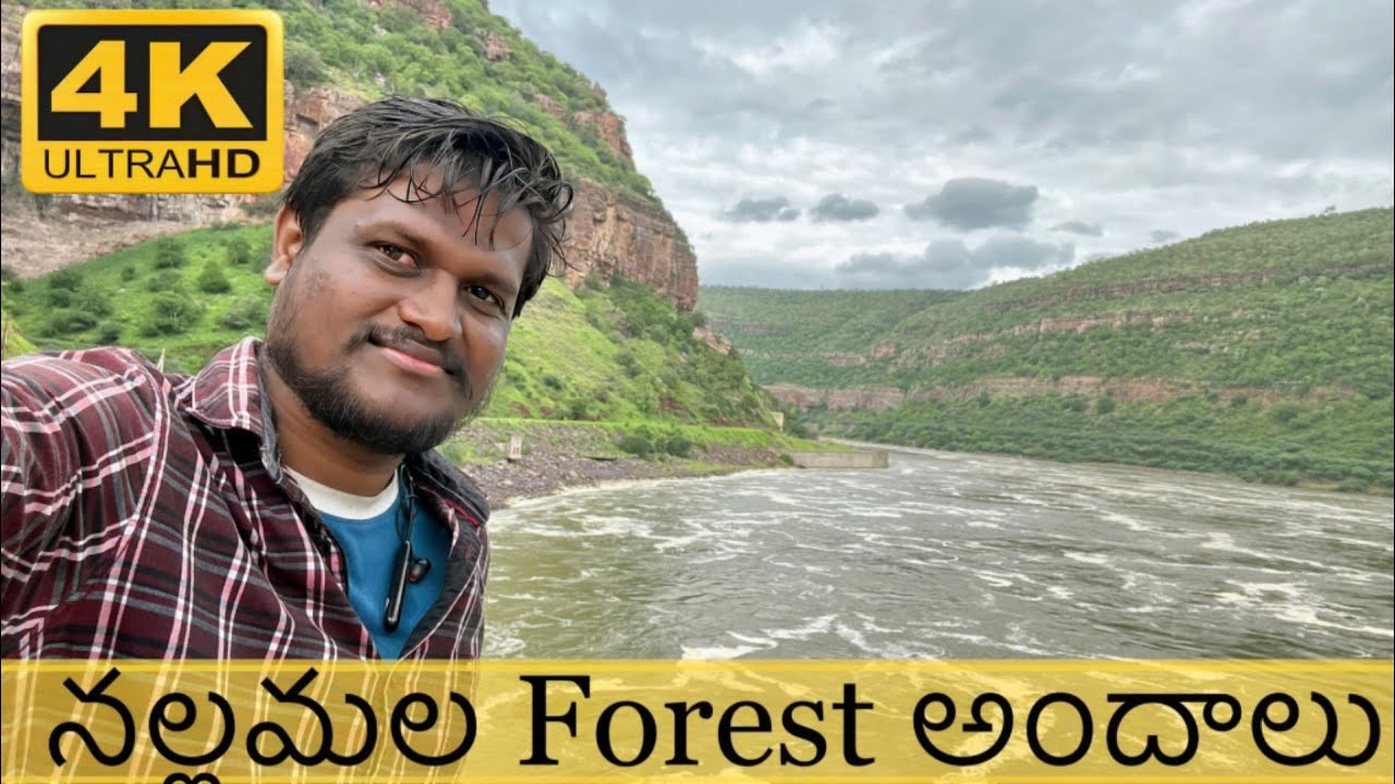 Nallamalla forest || Srisailam reservoir || 2022 - YouTube