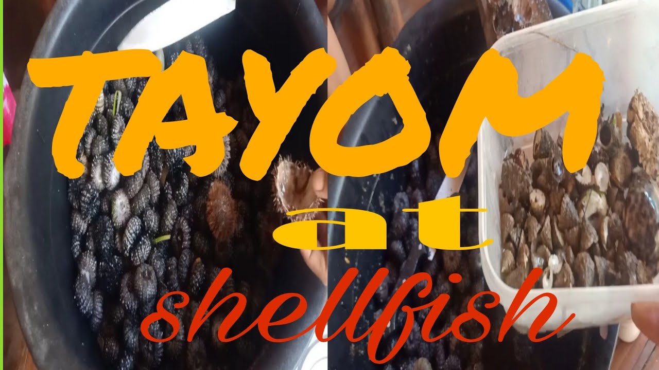 tayom at shellfish eating... alright zzzzz.. - YouTube