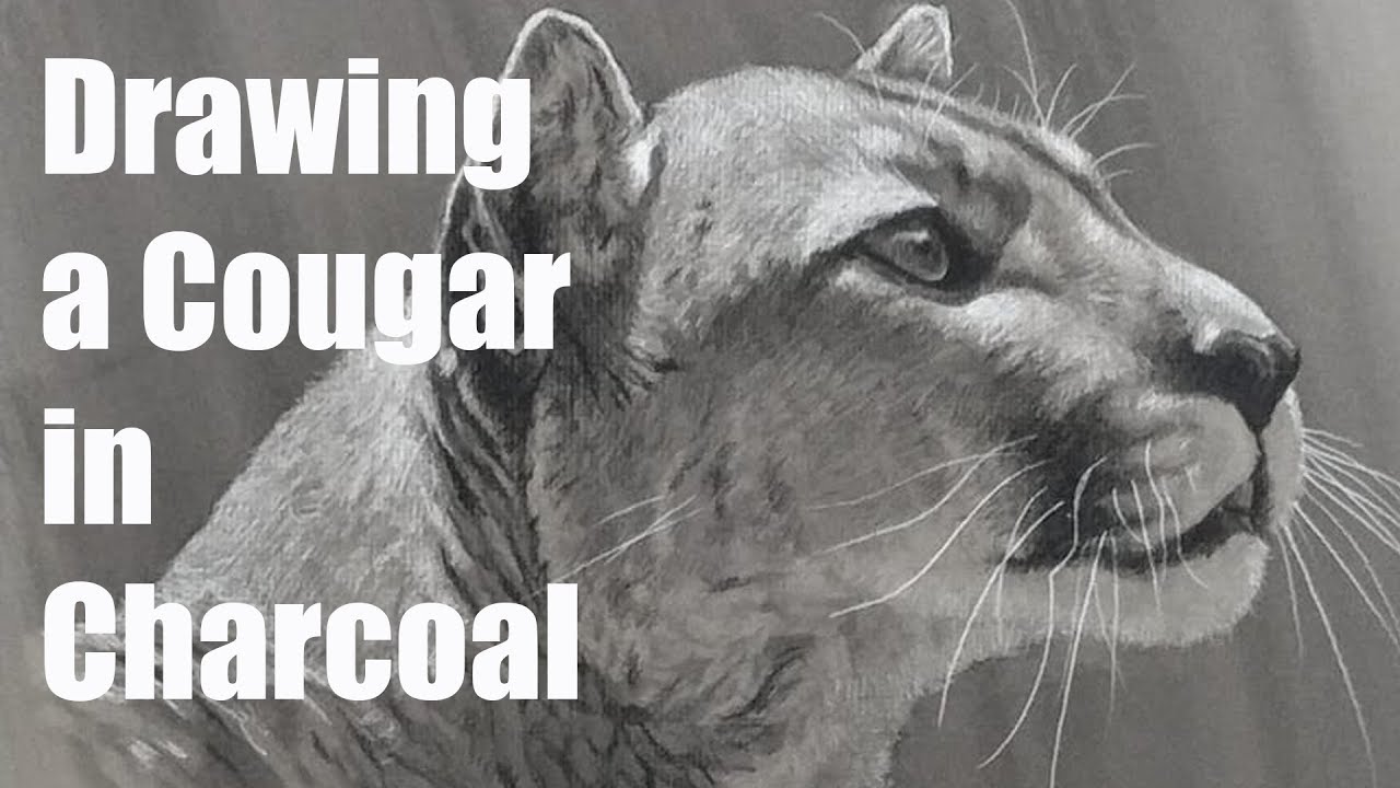 Live Stream - Drawing with Charcoal - YouTube