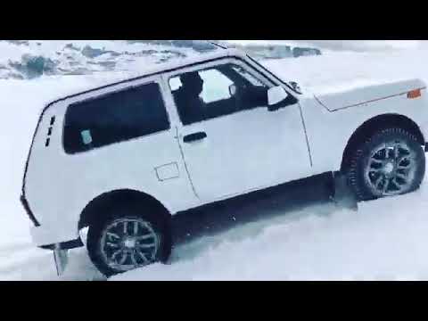 niva qarda