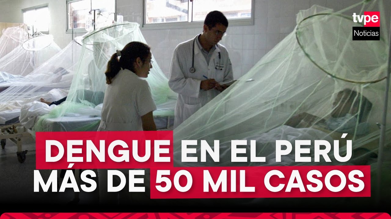 Dengue: se eleva el número de casos de DENGUE en el Perú - YouTube