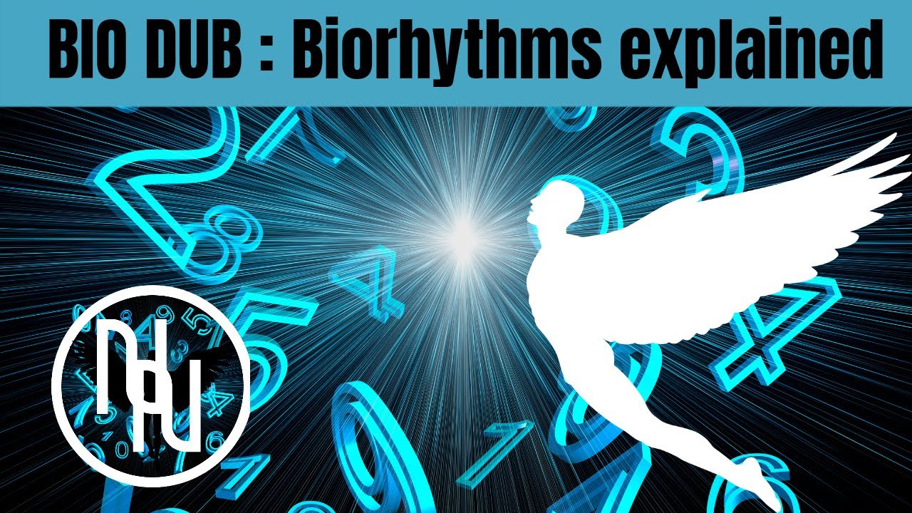 Bio Dub: Biorhythms Explained - YouTube