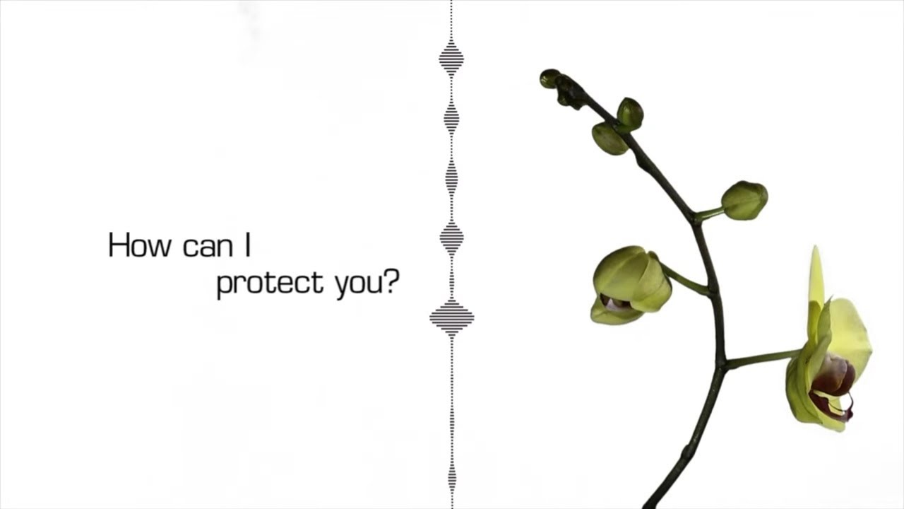 Afterlife, Vincenzo Callea - Protect You feat. Beth Hirsch - YouTube