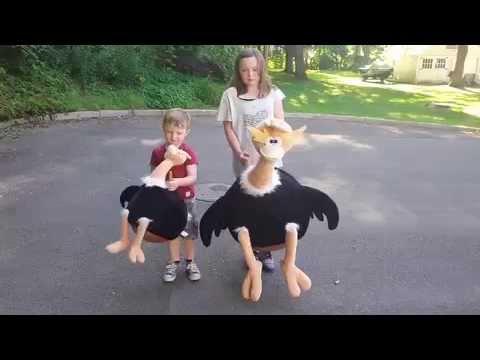 Ostrich Ball Hopper Review - YouTube