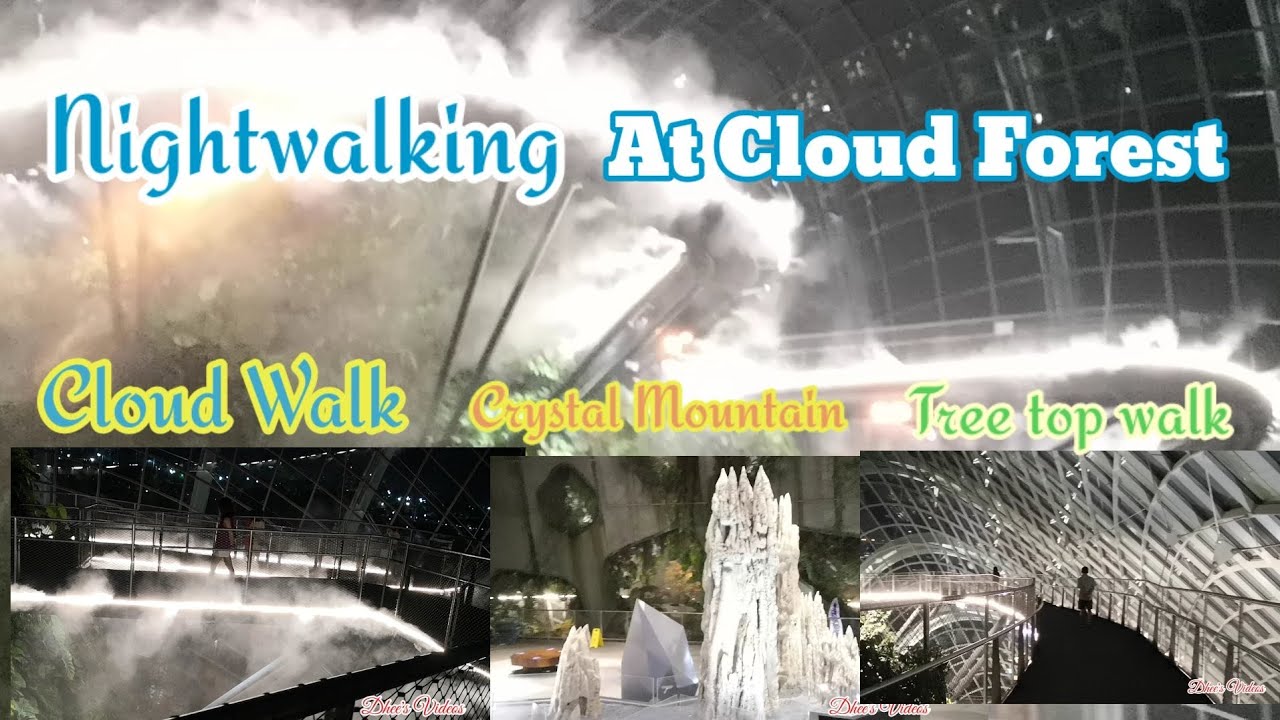 Nightwalking At Cloud Forest/Cloud walk/Tree Top Walk/Cyrstal Mountain# ...