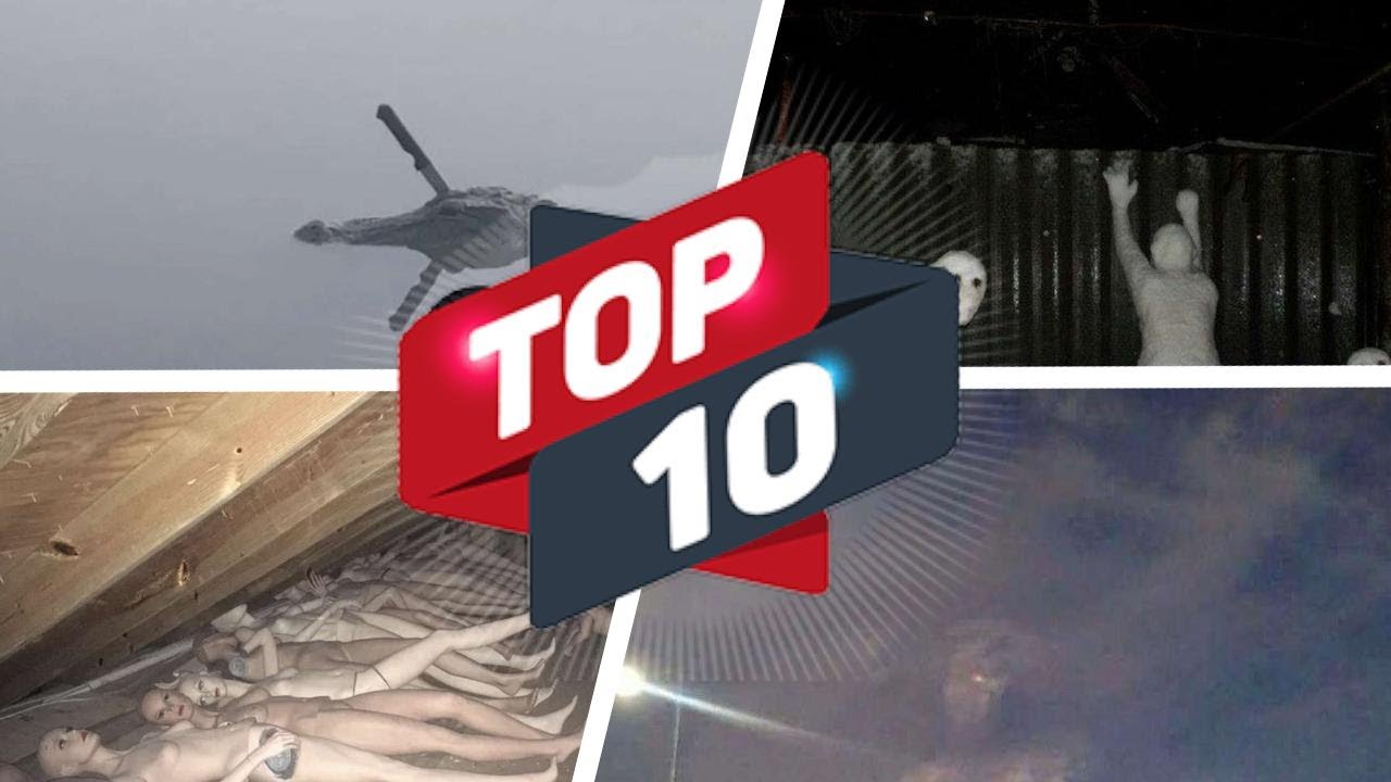 19 Random Images That Will Haunt Your Dreams (Seriously, They'Re ...