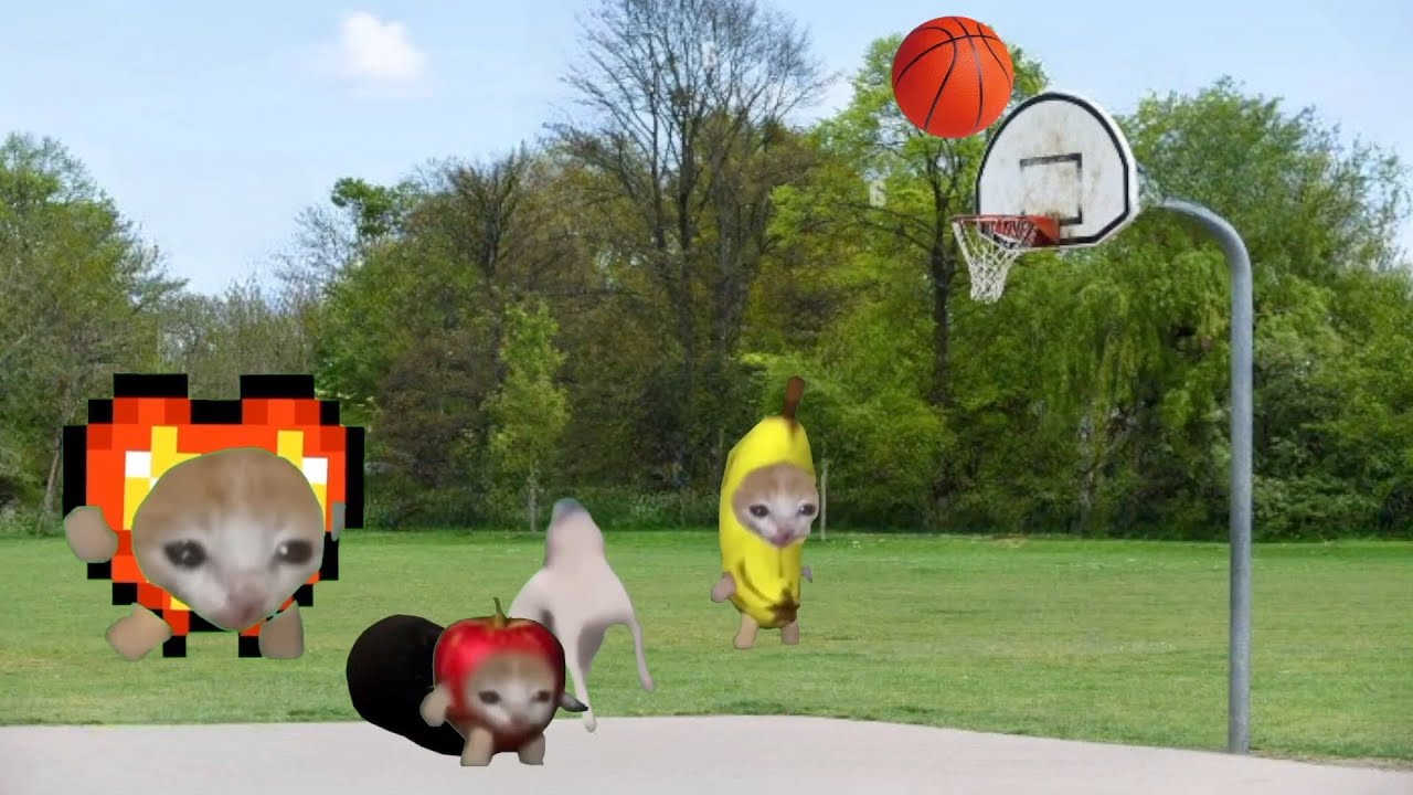 Happy Cat / Banana Cat Playing Basketball meme - YouTube