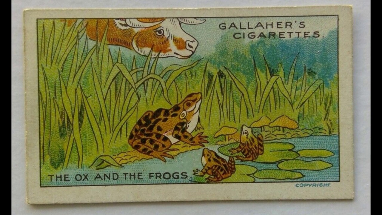 The Ox and The Frogs - Kids Story Telling - YouTube