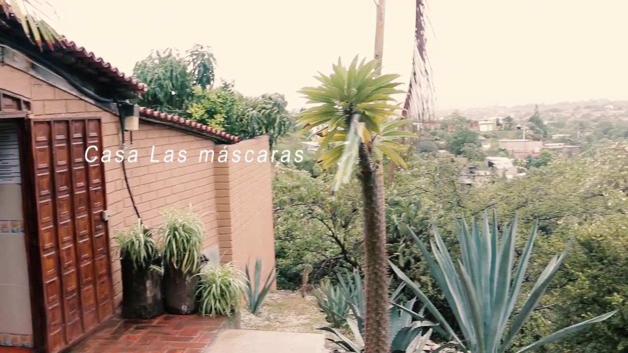Temazcal tradicional en Oaxaca - YouTube