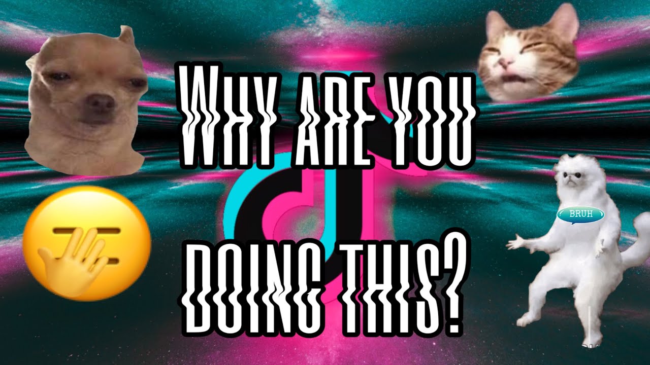 The Weird World Of TIK-TOK - YouTube