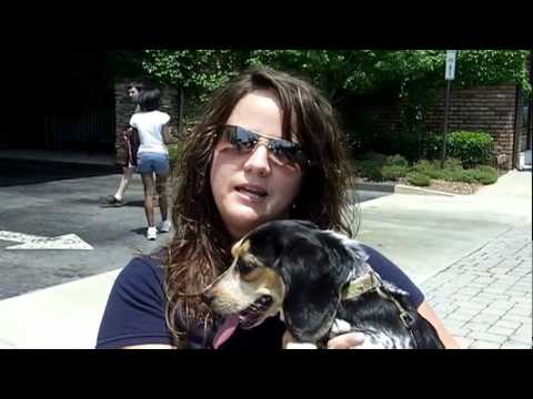 Angels Among Us Pet Rescue - Pet Adoption - YouTube
