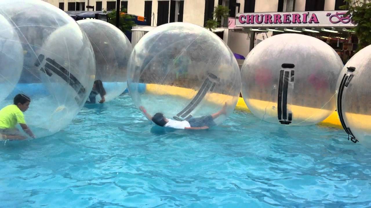 Toby rolls around in a big ball - YouTube