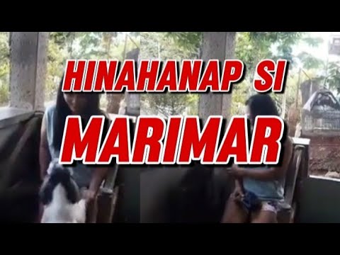 HINAHANAP SI MARIMAR (DOG) - YouTube