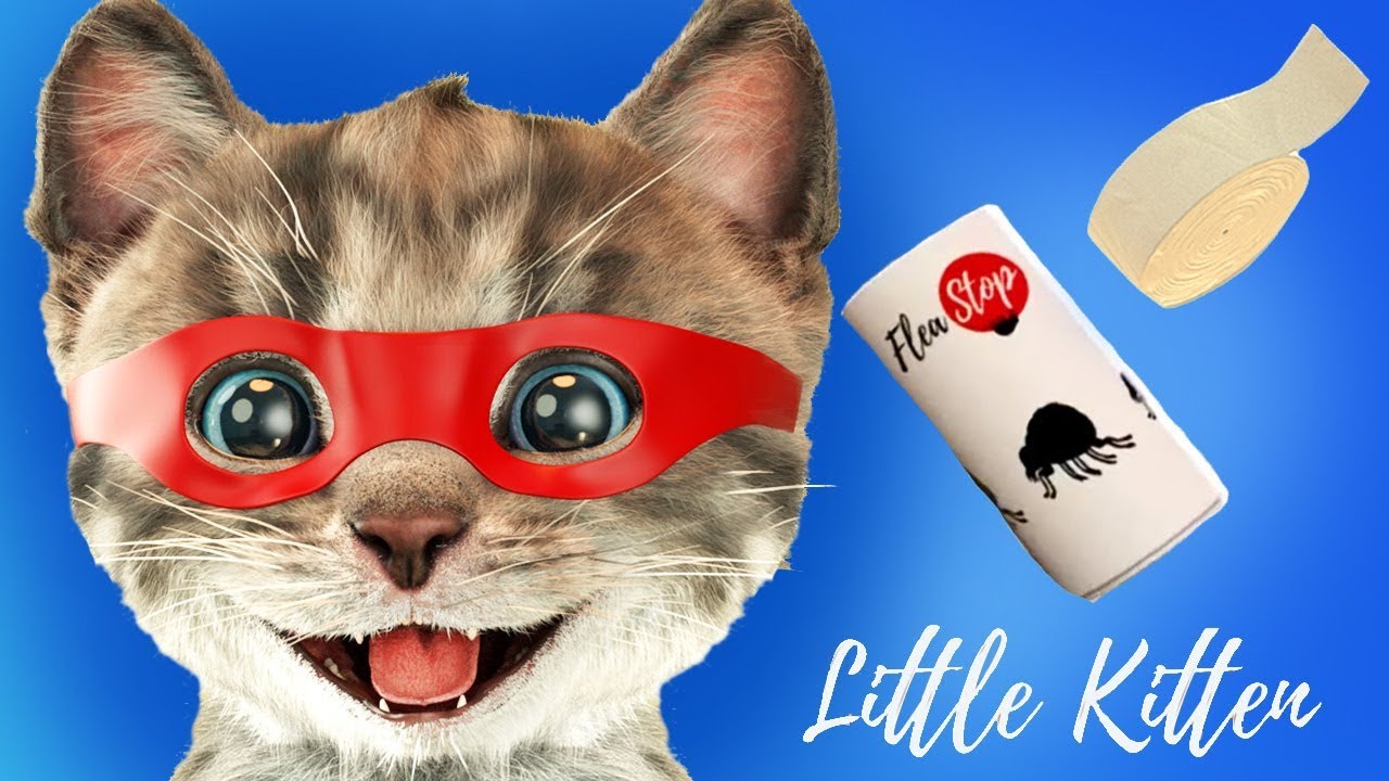 Fun Animal Care Games - Cute Little Kitten Play Puzzle Games, Feed ...