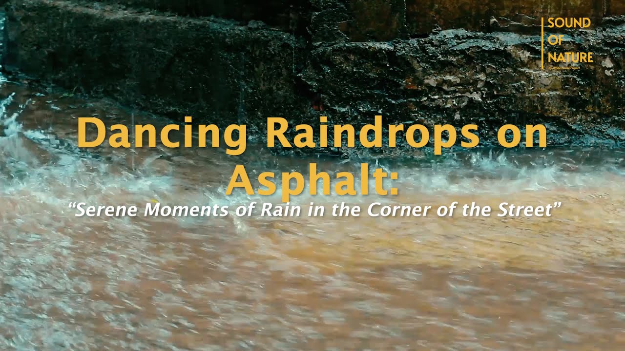 Dancing Raindrops on Asphalt | Serene Moments of Rain in the Corner of ...